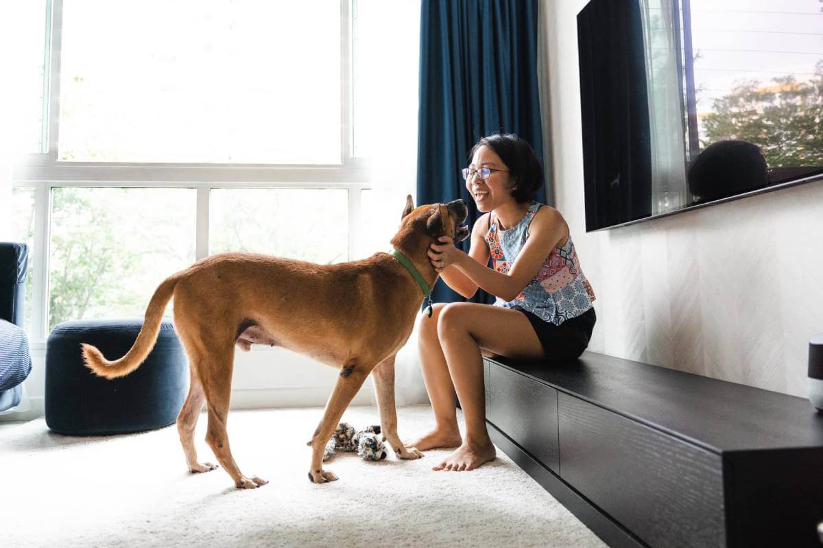 Why It’s Important To Let Your Dog Be A Dog - Chained Dog Awareness ...